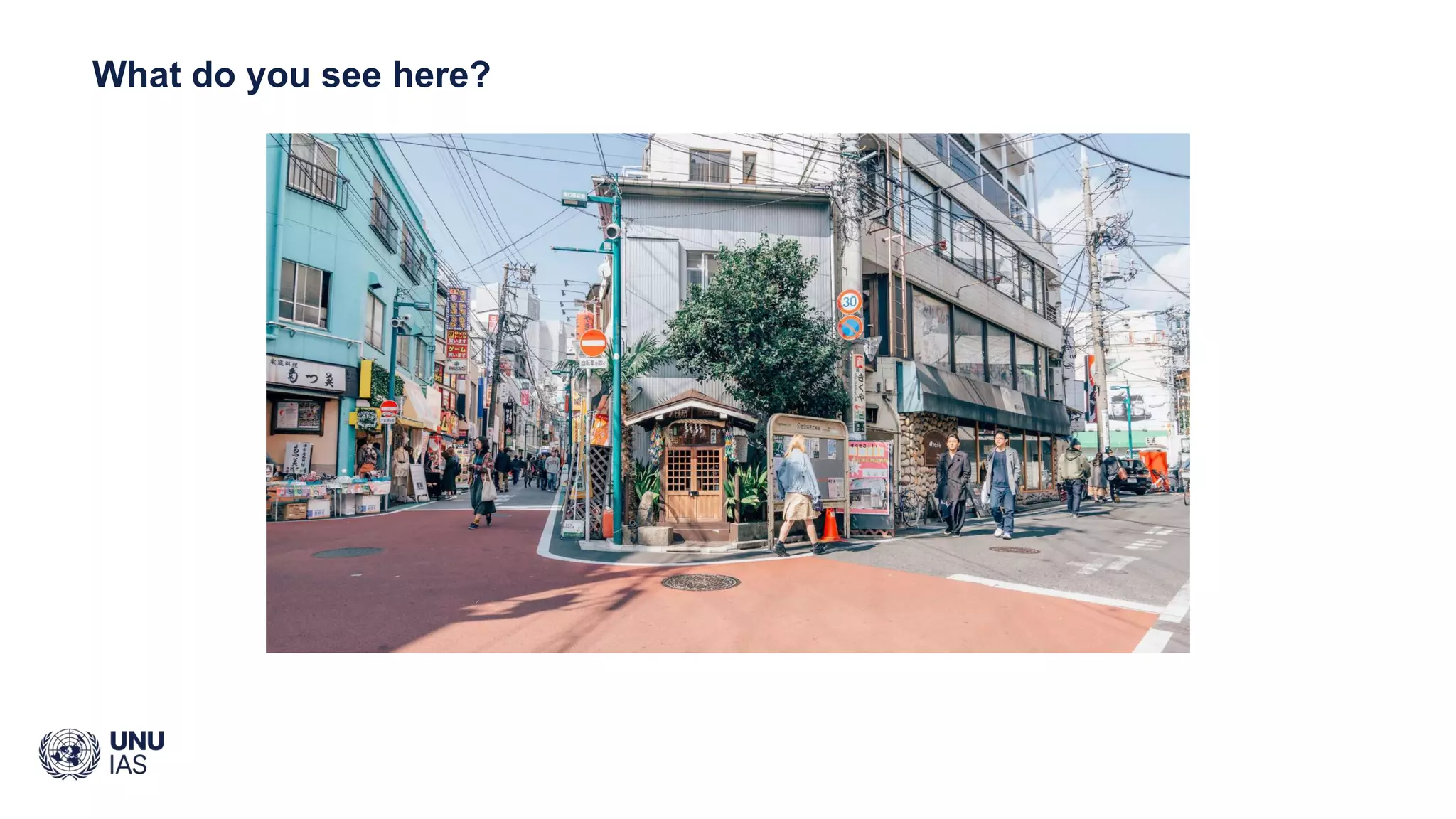 Principles of Sustainable Urban Design | PPTX