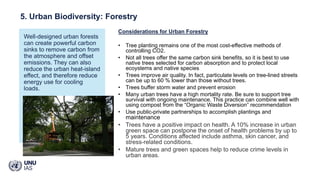 Principles of Sustainable Urban Design | PPTX