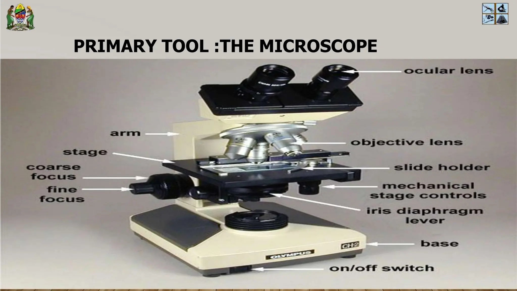 Module 4 Proper Use, Care and Maintenance of a Microscope.pptx