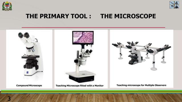 Module 4 Proper Use, Care and Maintenance of a Microscope.pptx