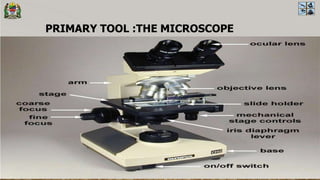 Module 4 Proper Use, Care and Maintenance of a Microscope.pptx