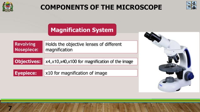 Module 4 Proper Use, Care and Maintenance of a Microscope.pptx
