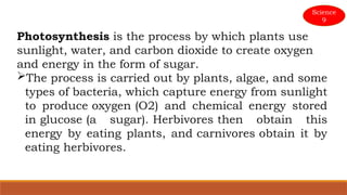 Module 4 revised about photosynthesis.pptx