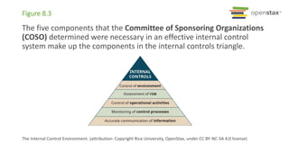 Accounting Information Systems | PPTX