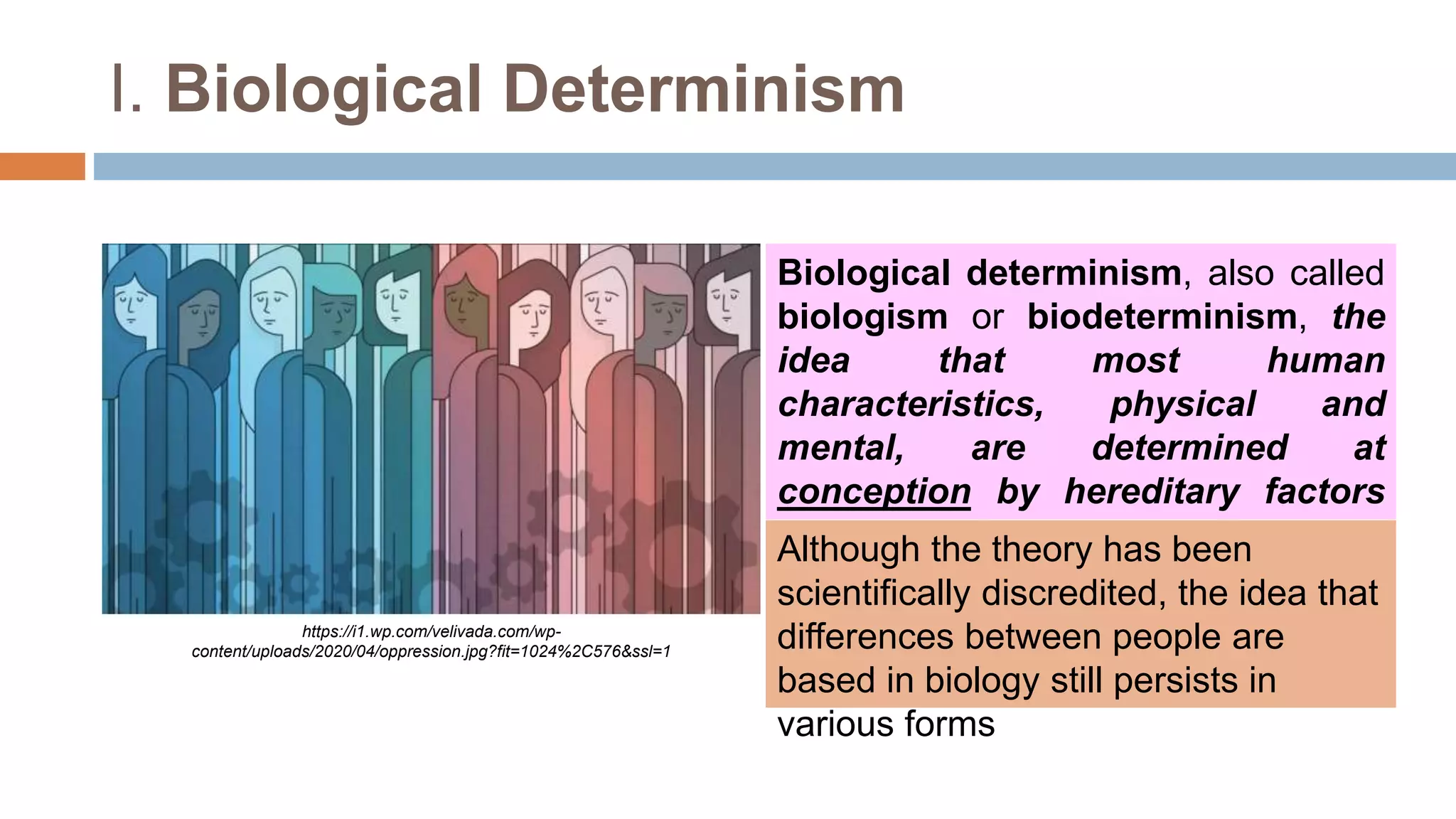 GEC 1 Understanding the Self (Module 4: The Physical Self) | PPTX