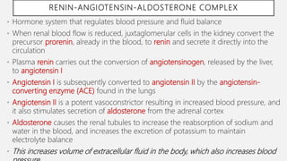 module5-180410210113.pdf