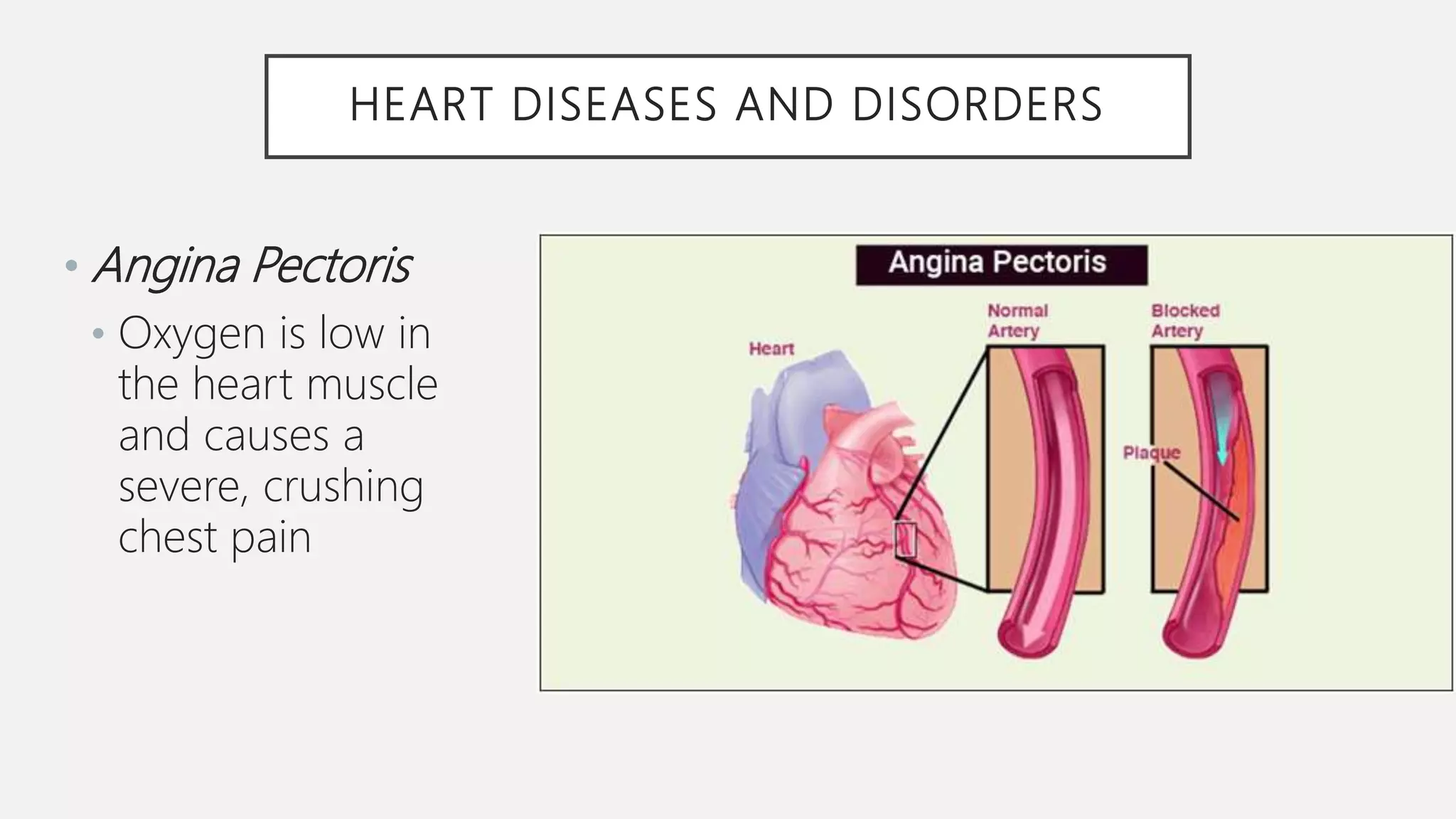 Cardiovascular Pathophysiology | PPTX