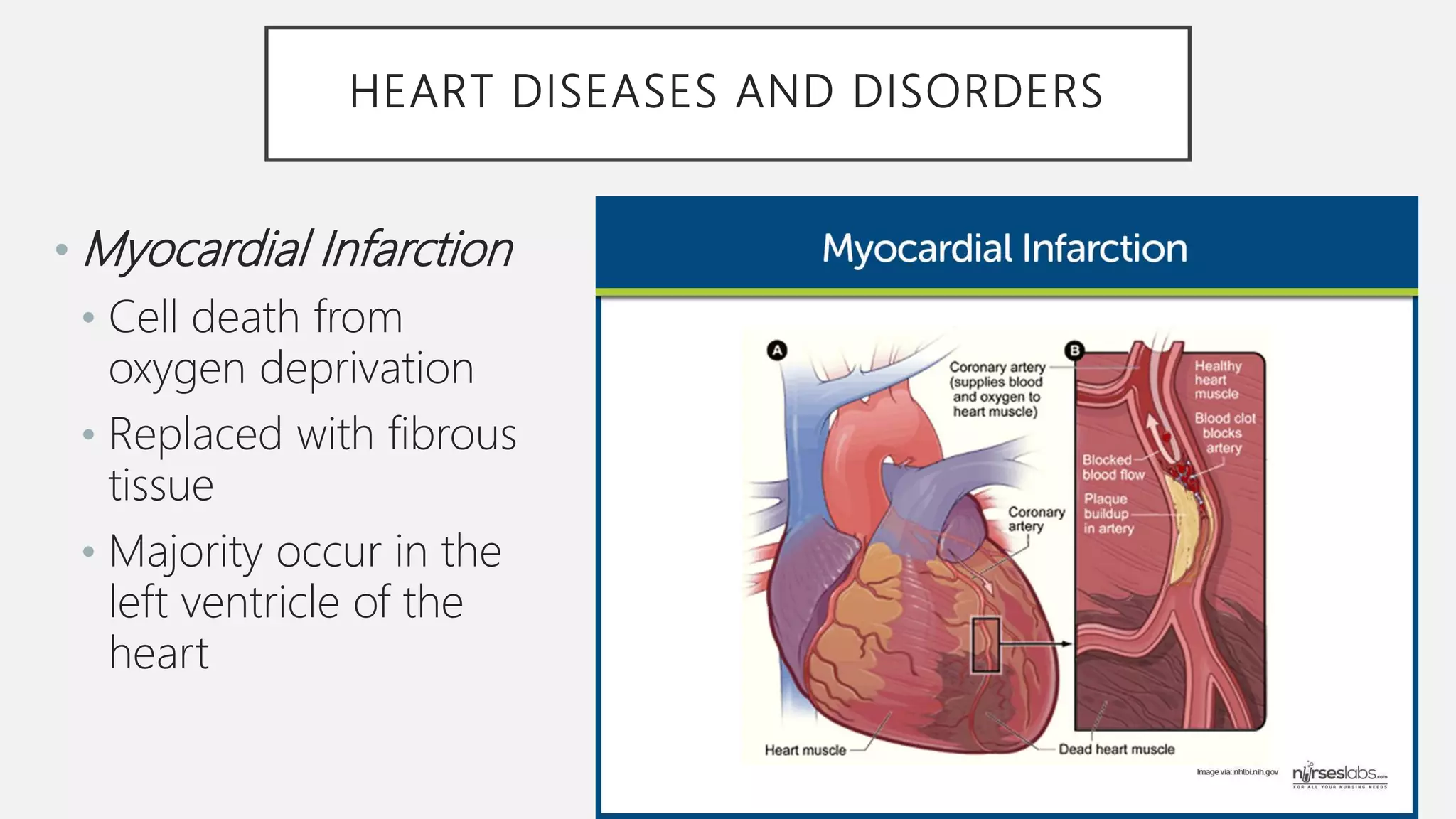 Cardiovascular Pathophysiology | PPTX