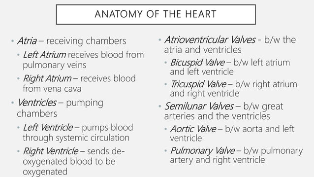 Cardiovascular Pathophysiology | PPTX | Heart and Cardiovascular ...