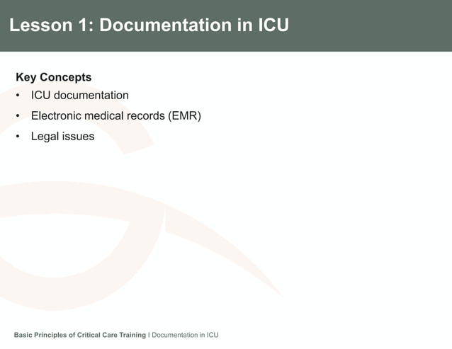 Module 5.1 Documentation in ICU | PPTX | Healthcare Industry | Industries