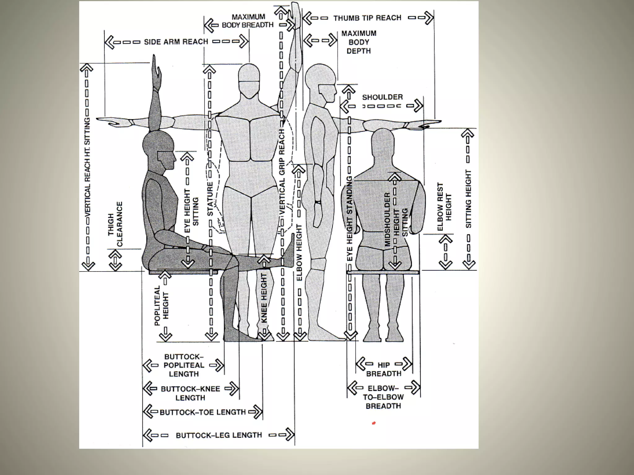 Module 5-Anthropometrics_PDF.pdf