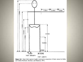 Module 5-Anthropometrics_PDF.pdf