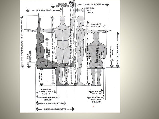 Module 5-Anthropometrics_PDF.pdf