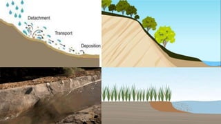 Module 5 - Exogenic Processes-EARTH SCIENCE.pptx
