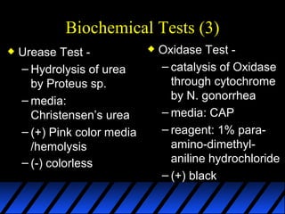 Module 5a biochemical activities | PPT