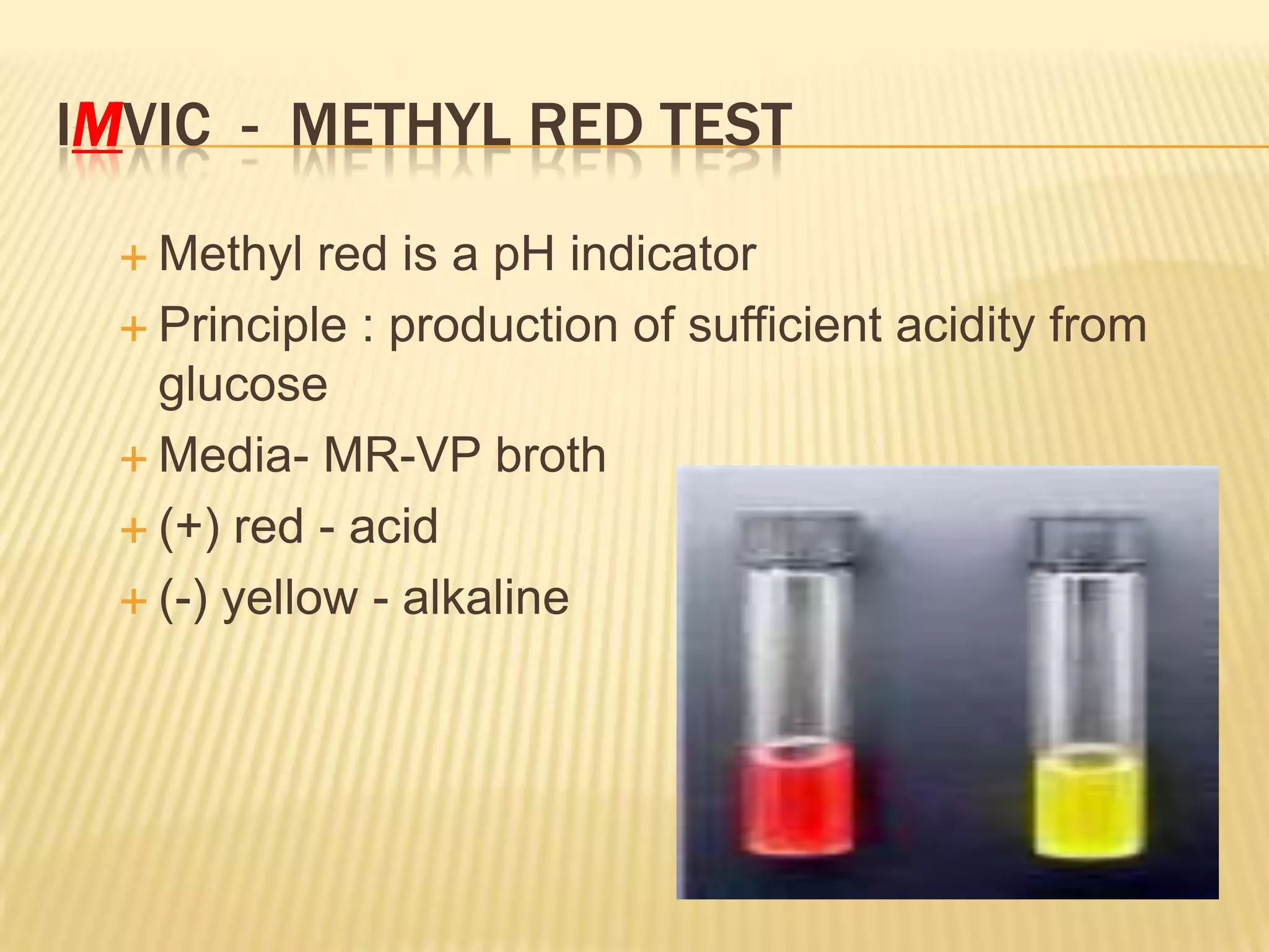 Module5b biochemicalactivitiesforthelab-120620065407-phpapp02 | PPT