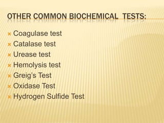 Module5b biochemicalactivitiesforthelab-120620065407-phpapp02 | PPTX