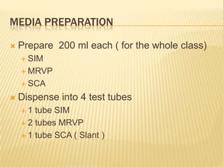 Module 5b biochemical activities for the lab | PPT