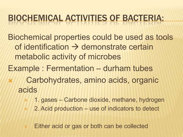 Module 5b biochemical activities for the lab | PPT