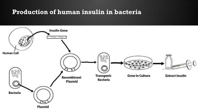 MODULE 5_BENEFITS OF GENETIC ENGINEERING.pptx