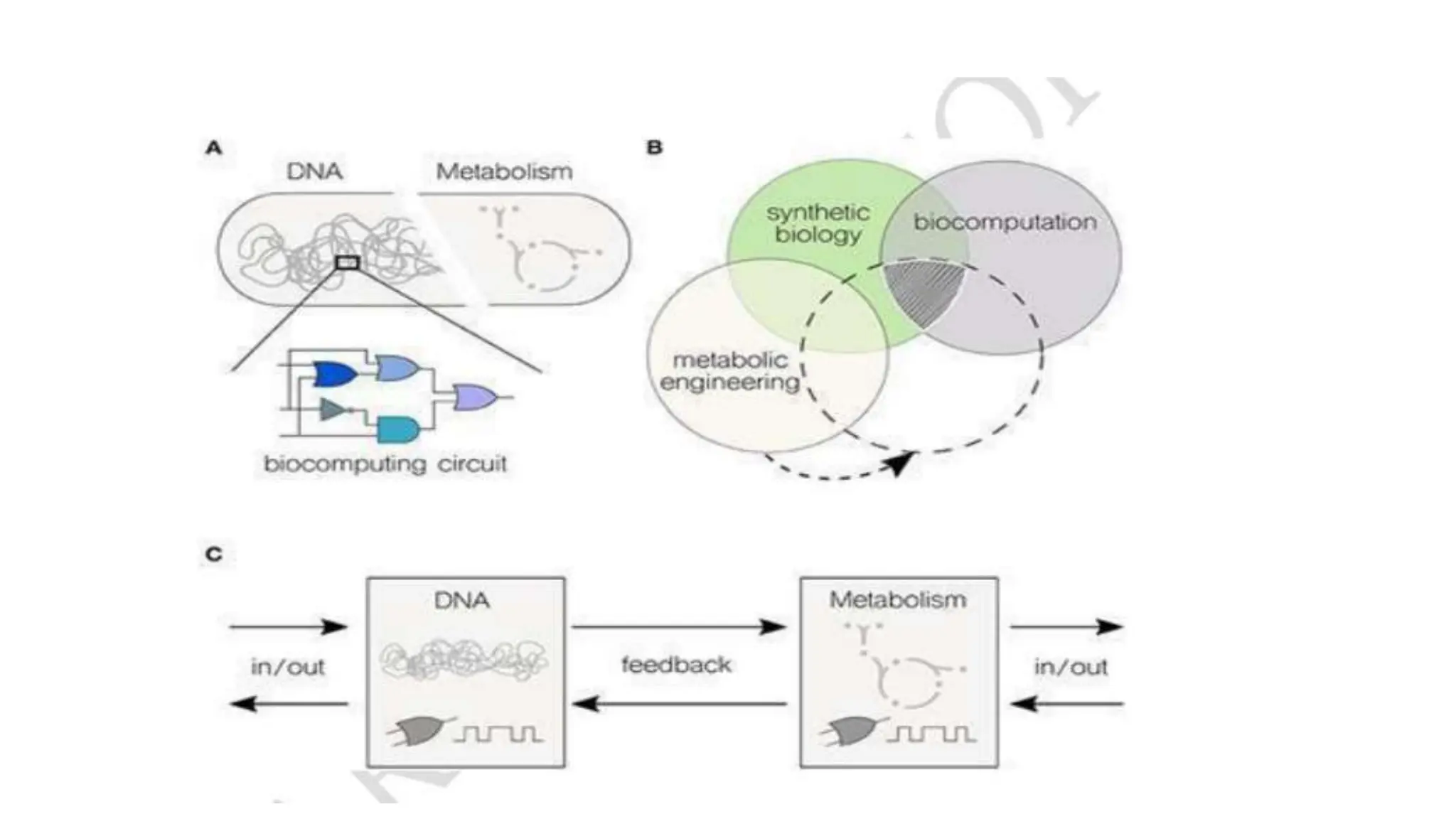 MODULE 5 BIOLOGY FOR ENGINEERS TRENDS IN BIO ENGINEERING.pptx