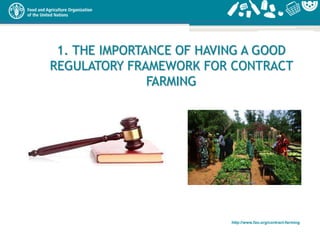 Module 5: How to foster and enabling environment for contract farming ...