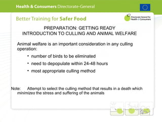 Depopulation and disposal: training presentation | PPT