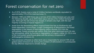 Nature-Based Approaches to Net Zero | PPTX