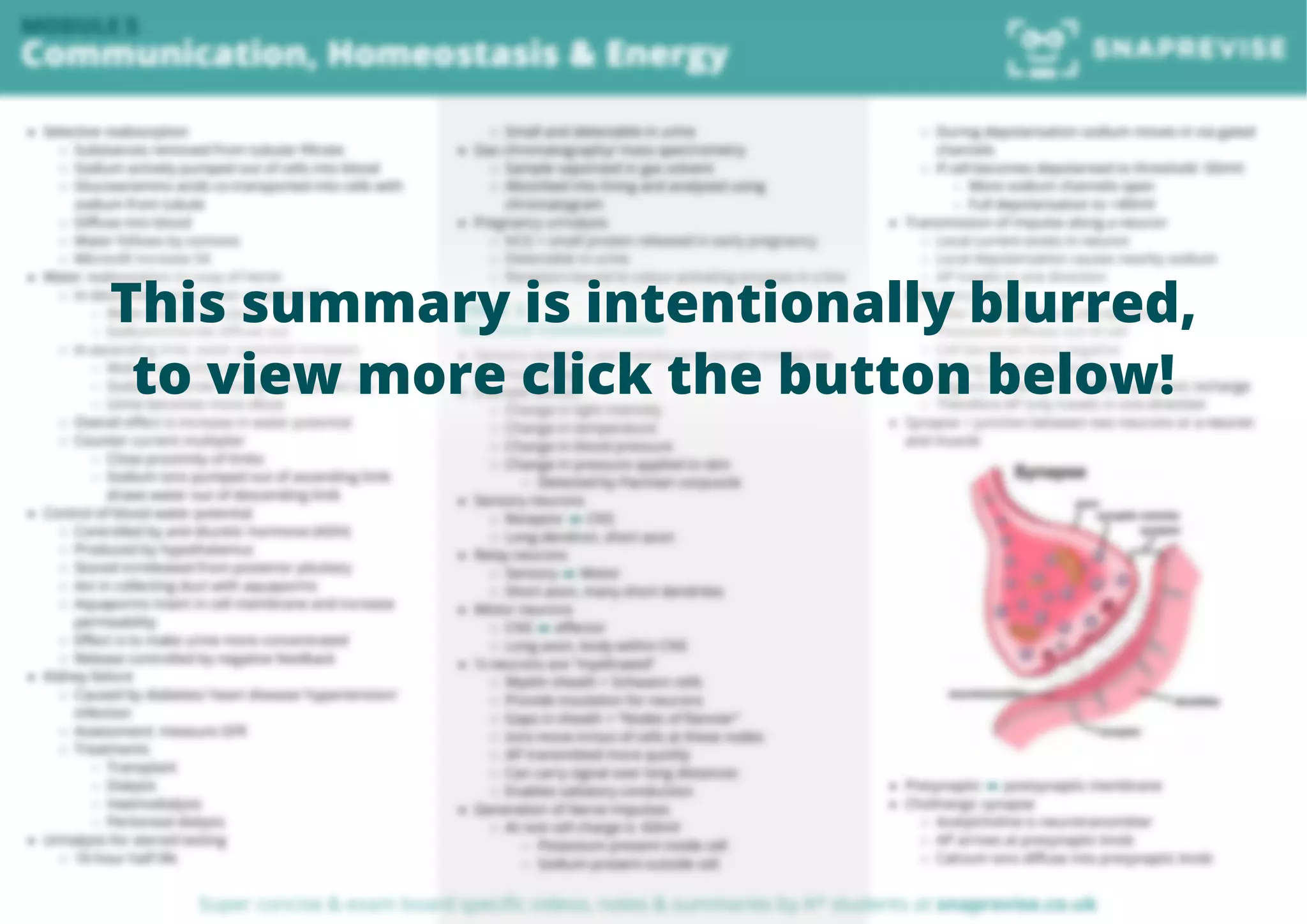 A-level OCR Biology Past Paper Summary: Communication, Homeostasis and Energy (Module 5) | PDF ...