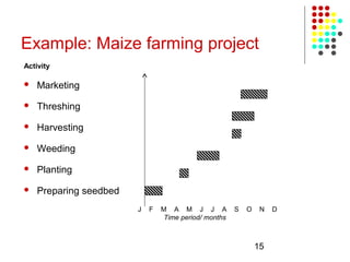 Project implementation | PPT