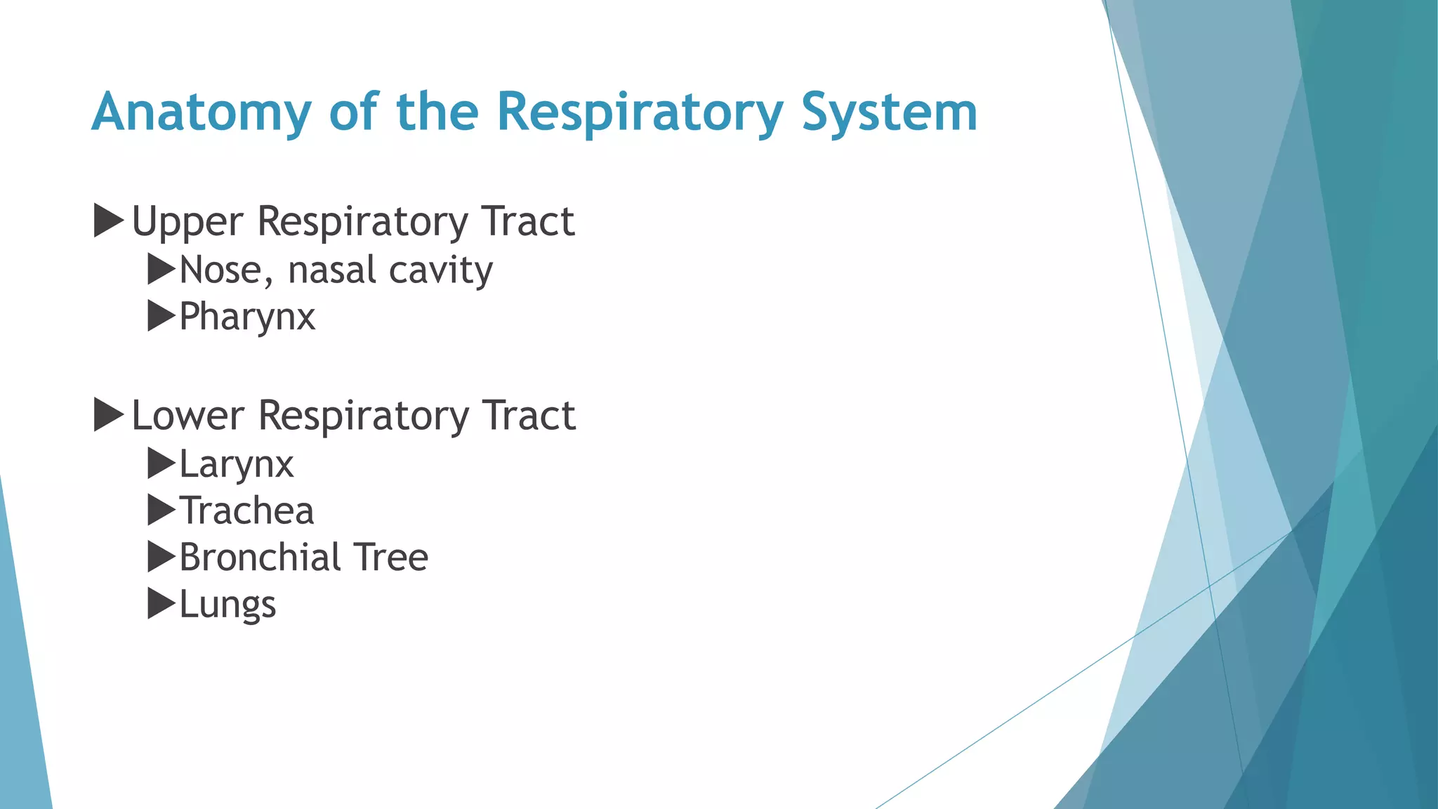 Respiratory Pathophysiology | PPTX