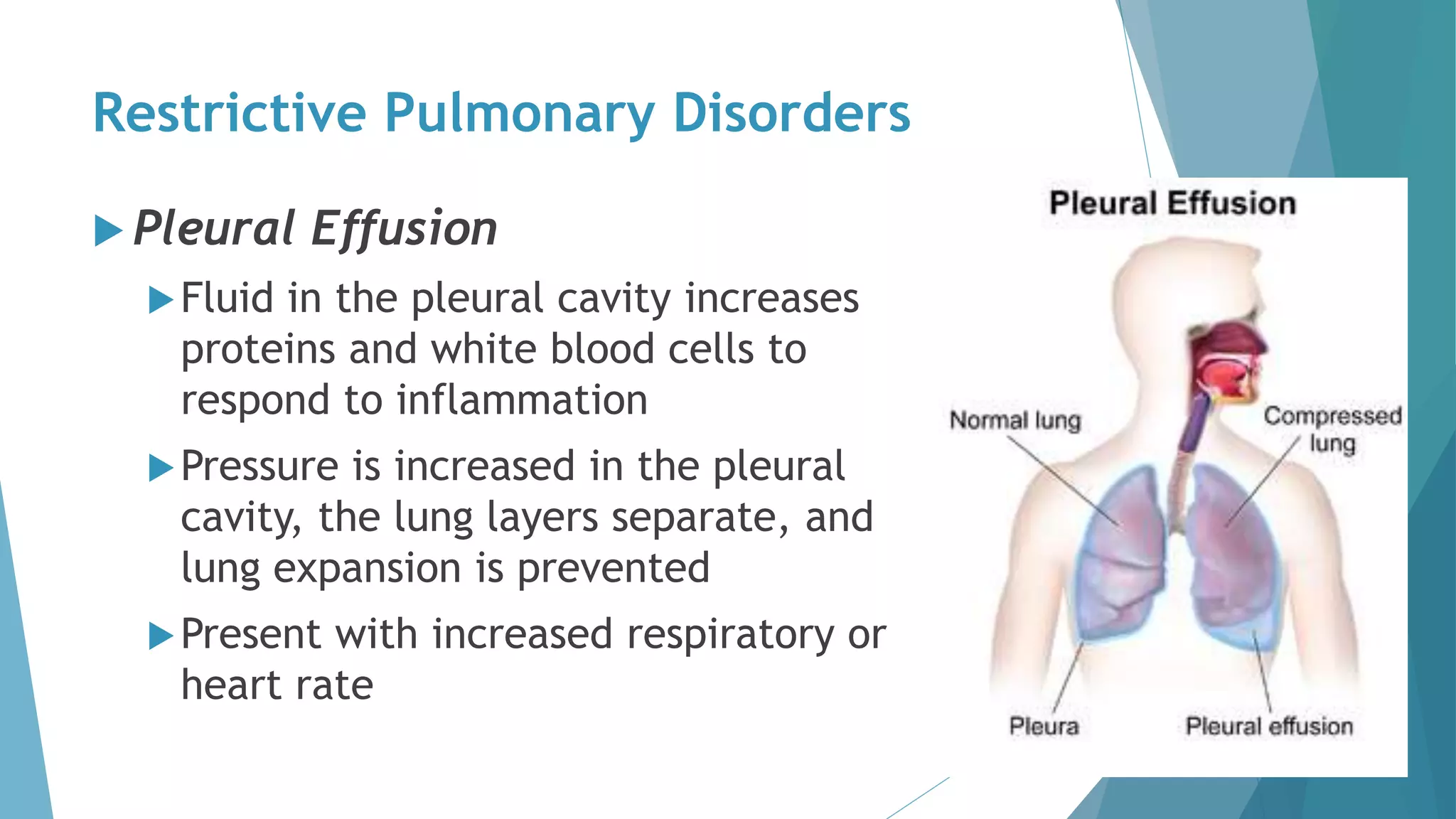 Respiratory Pathophysiology | PPTX