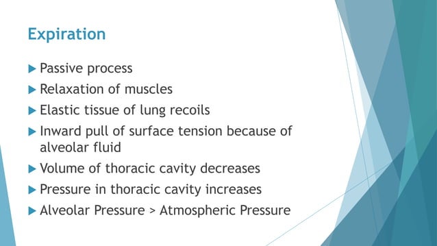 Respiratory Pathophysiology | PPTX | Lung and Respiratory Health ...