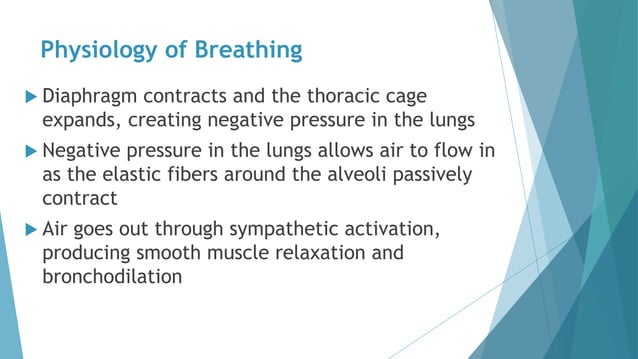 Respiratory Pathophysiology | PPTX | Lung and Respiratory Health ...