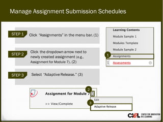 Module 6: Assignments Task 2 | PPT
