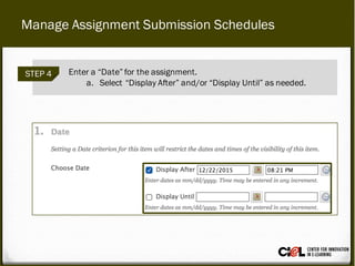 Module 6: Assignments Task 2 | PPT