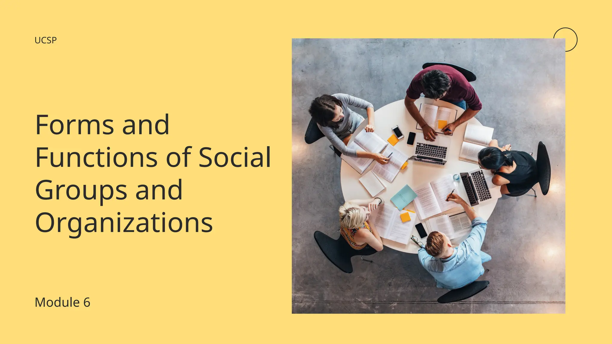 Module 6 - Forms and Functions of Social Groups and Organizations.pptx