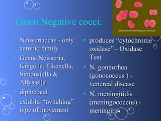Module 6a cocci | PPT