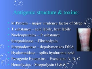 Module 6a cocci | PPT