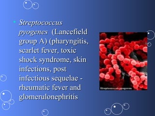 Module 6a cocci | PPT