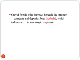 Module 6_Amoebiasis_Giardiasis_Pediculosis_Scabies.pptx