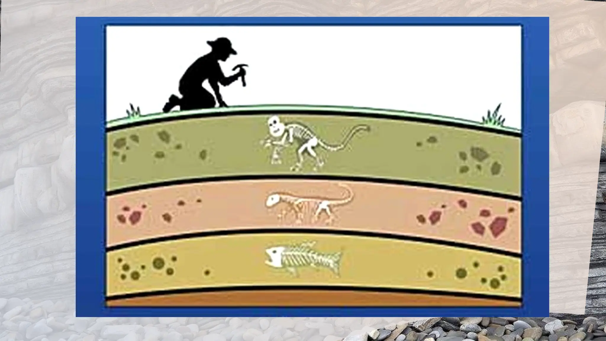 MODULE6 L1 - EARTH SCIENCE 11 stratification of rockss | PPTX