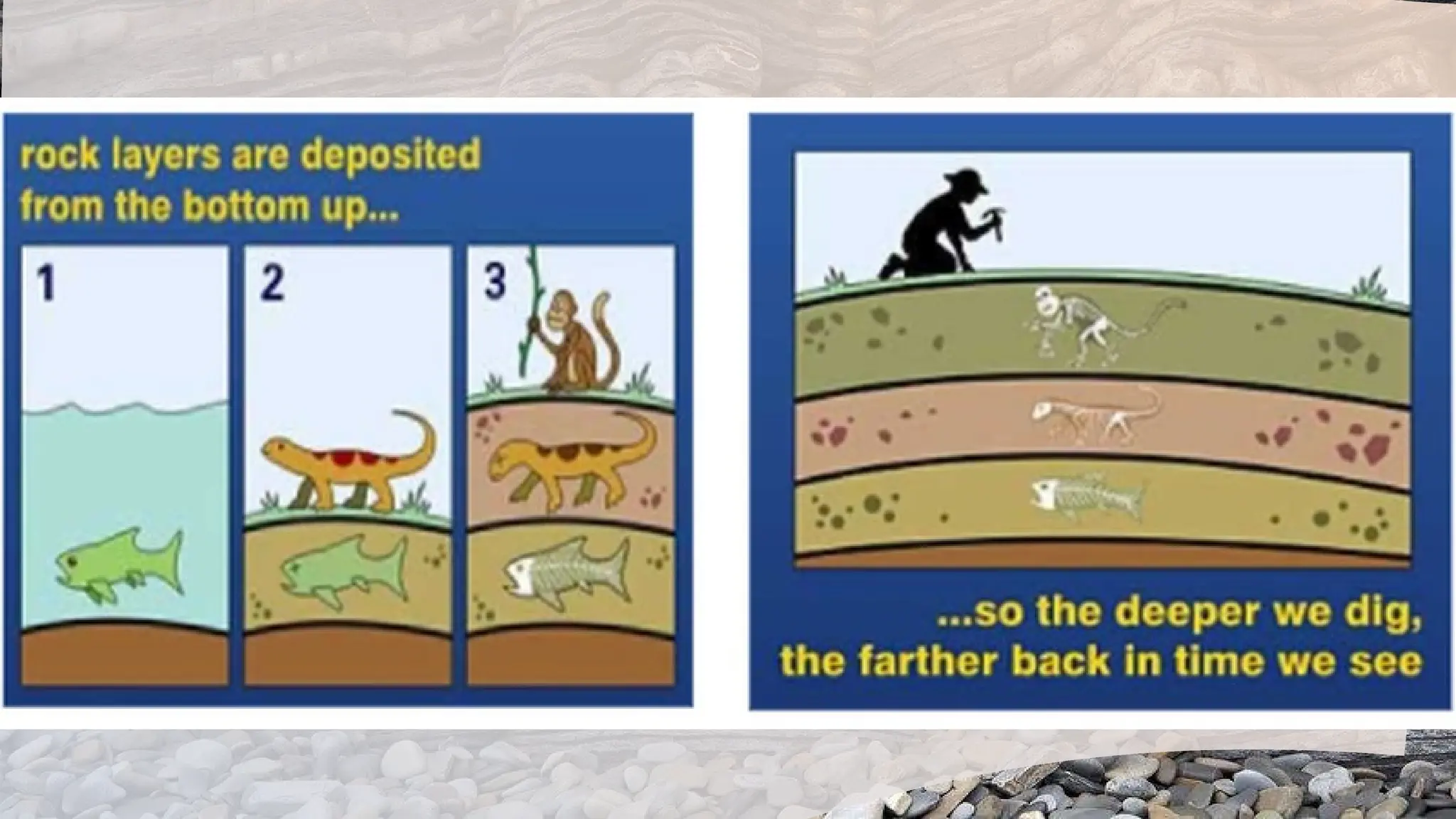 MODULE6 L1 - EARTH SCIENCE 11 stratification of rockss | PPTX