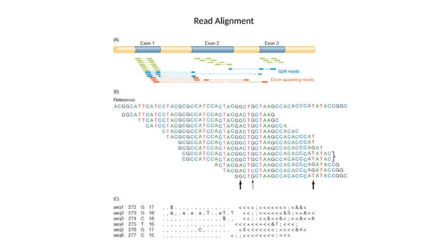Module_6_Lecture 1_GG.pptx single cell RNA sequence | PPTX