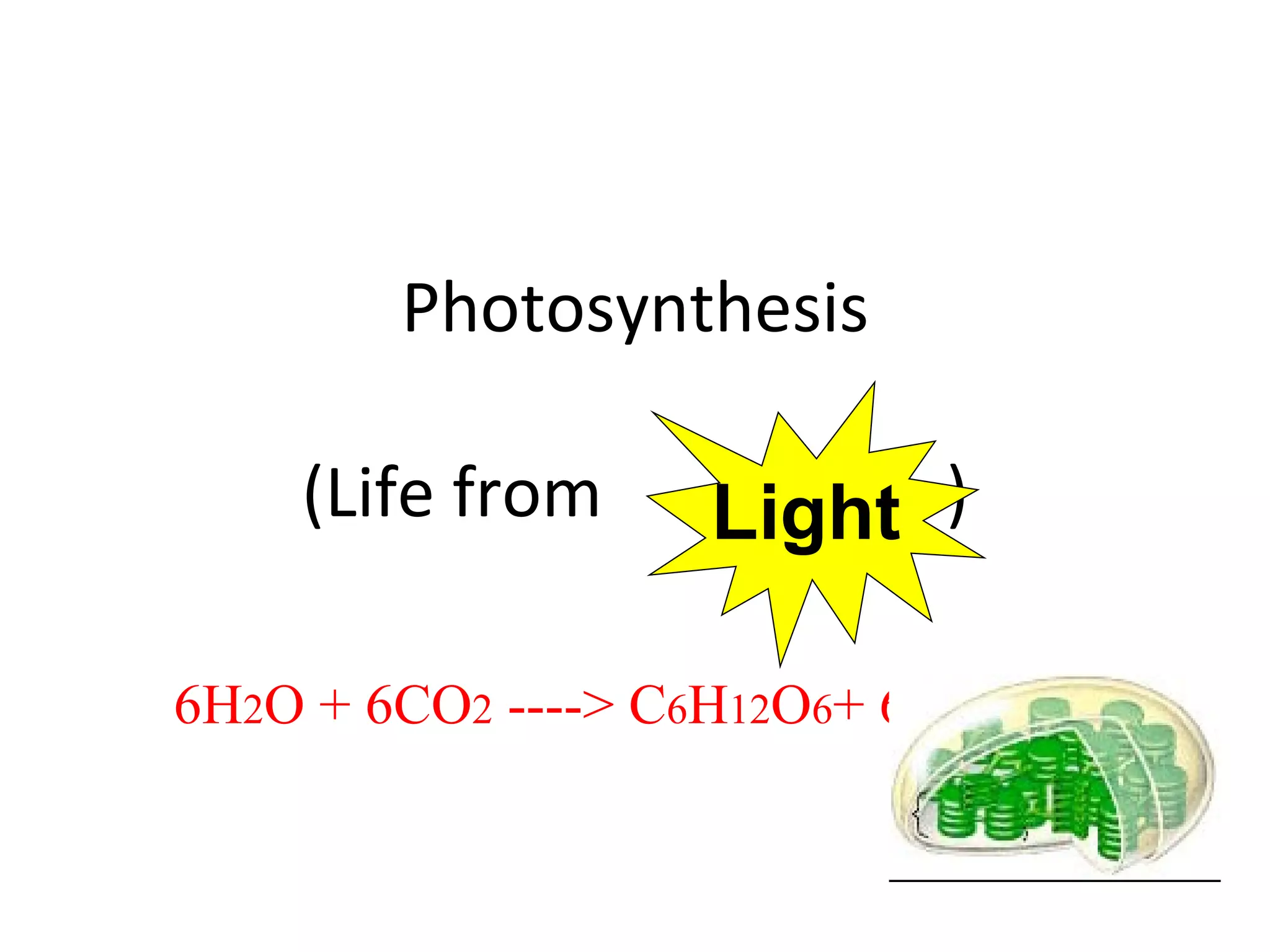 Module 6, lesson 1 photosynthesis | PPT