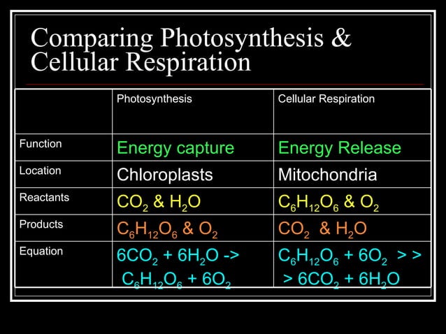 Module 6, lesson 2 cell respiration | PPT