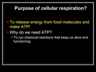 Module 6, lesson 2 cell respiration | PPT