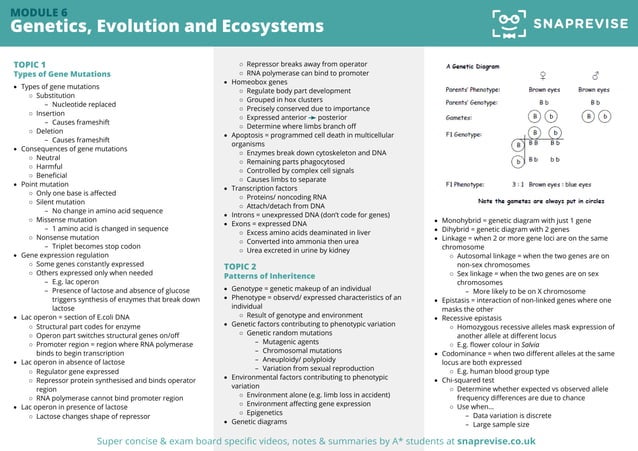 A-level OCR Biology Past Paper Summary: Genetics, Evolution ...
