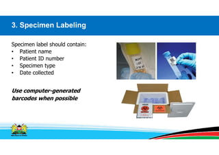 Module 6 Specimen Management.pdf