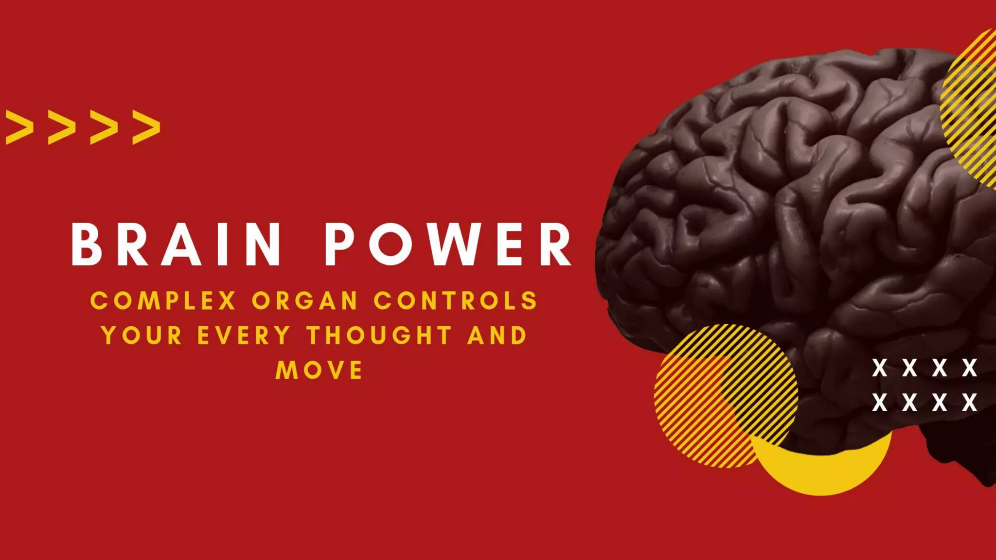 The Powers Of Mind | PPTX